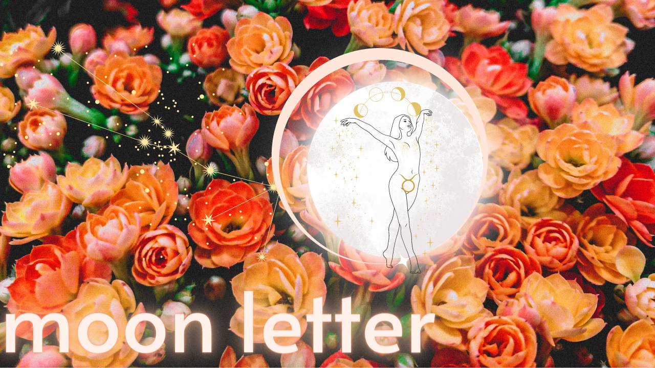 ˏˋ°•*⁀ MOON Letter | Taurus New Moon ｡･ﾟﾟ･