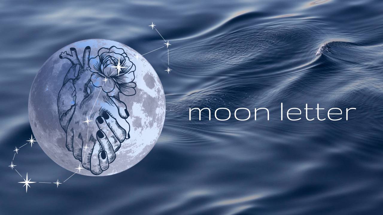 ˏˋ°•*⁀ MOON Letter | New Moon in Scorpio ˚ ♡ ｡･ﾟﾟ･