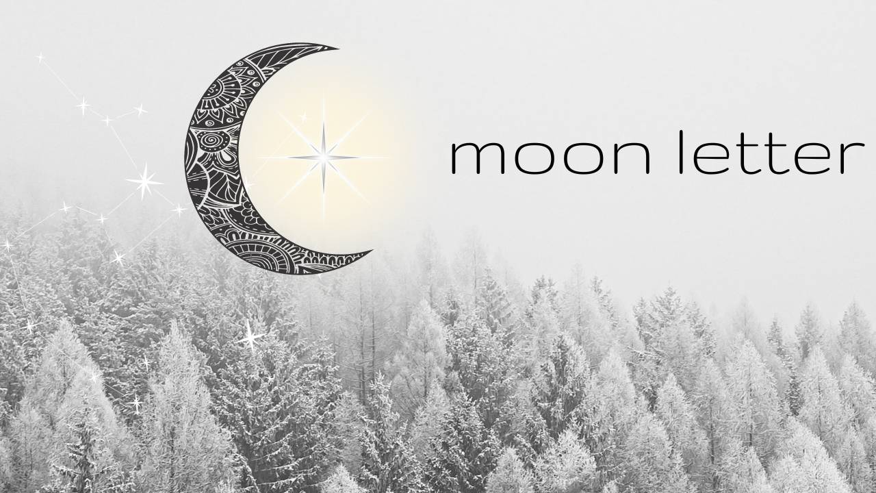 ˏˋ°•*⁀ MOON Letter | New Moon in Sagittarius: Embrace Yourself