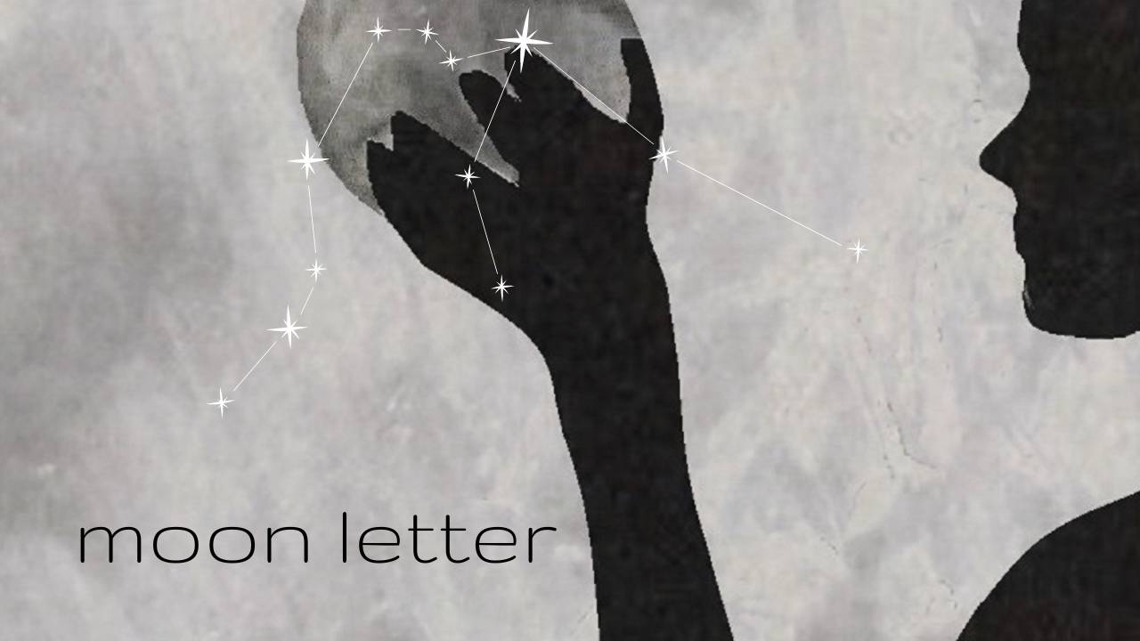 ˏˋ°•*⁀ MOON Letter | New Moon in Aquarius ˚ ♡ ｡･ﾟﾟ･