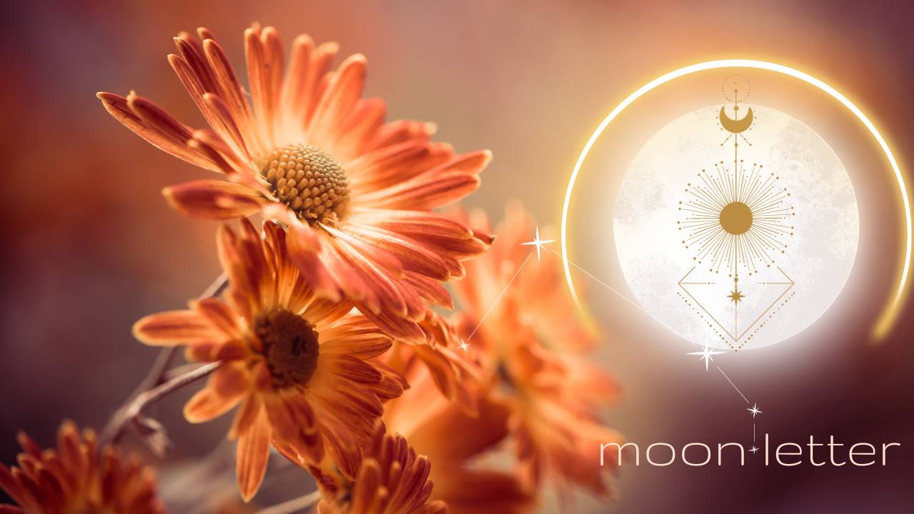 ˏˋ°•*⁀ MOON Letter | Aries Full Moon: Take Heart˚ ♡ ｡･ﾟﾟ･
