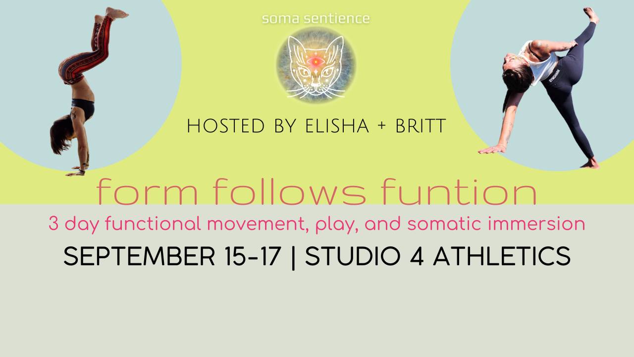 form follows function