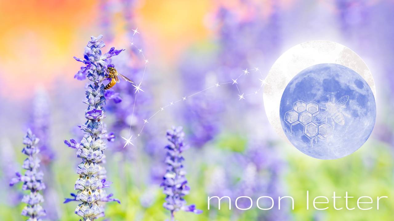 MOON Letter | Pisces Moon: your feelings are your soul speaking ｡･ﾟﾟ･