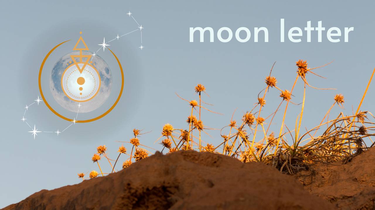 ˏˋ°•*⁀ MOON Letter | Scorpio Full Moon Lunar Eclipse｡･ﾟﾟ･