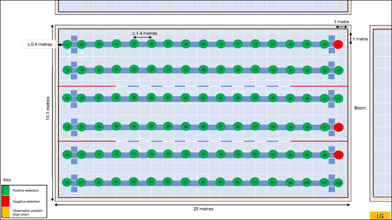 How do I conduct a lifeguard zone visibility test?