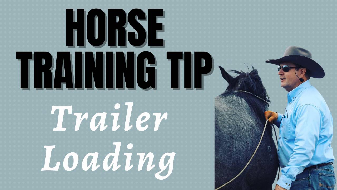 Mastering Trailer Loading: Essential Tips for Stress-Free Travel