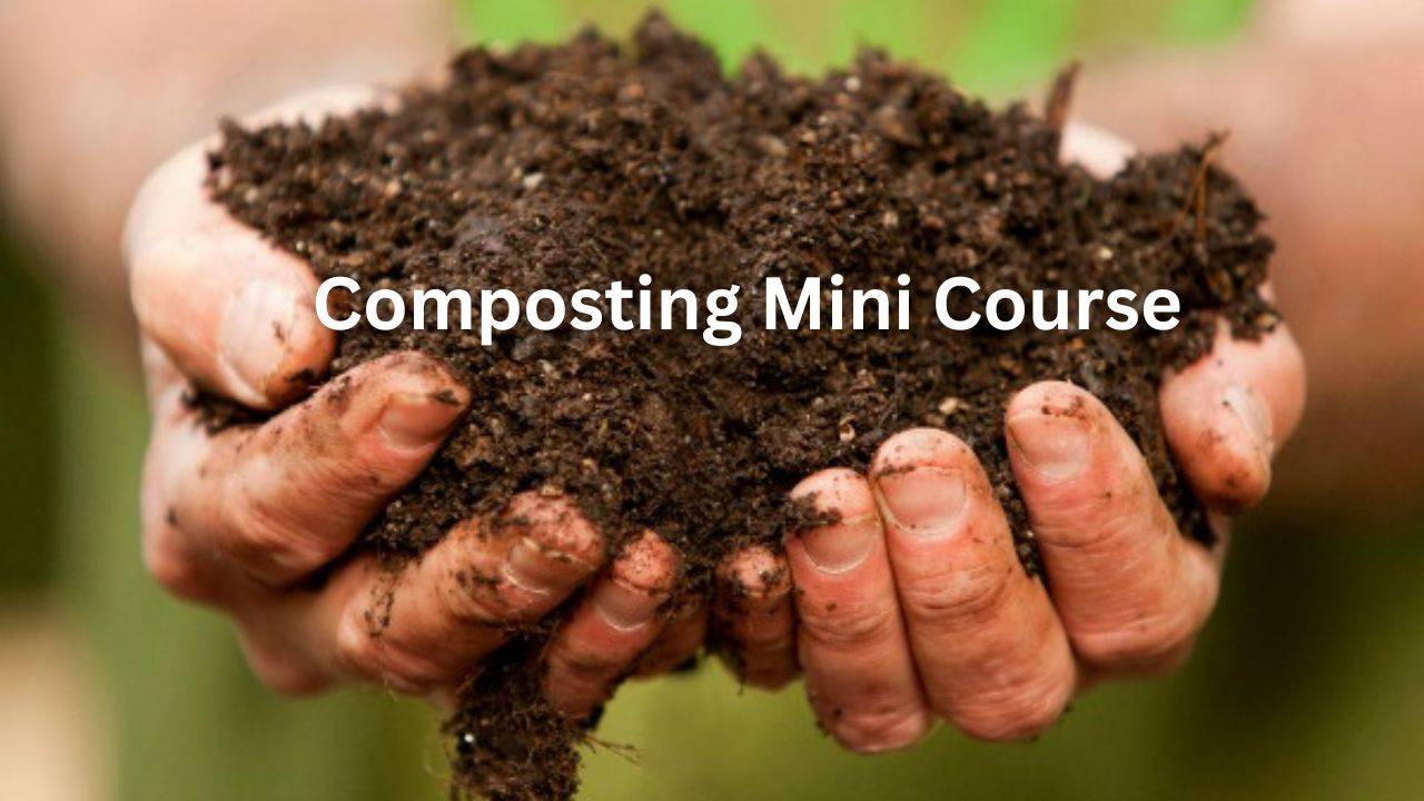 Composting Mini Course