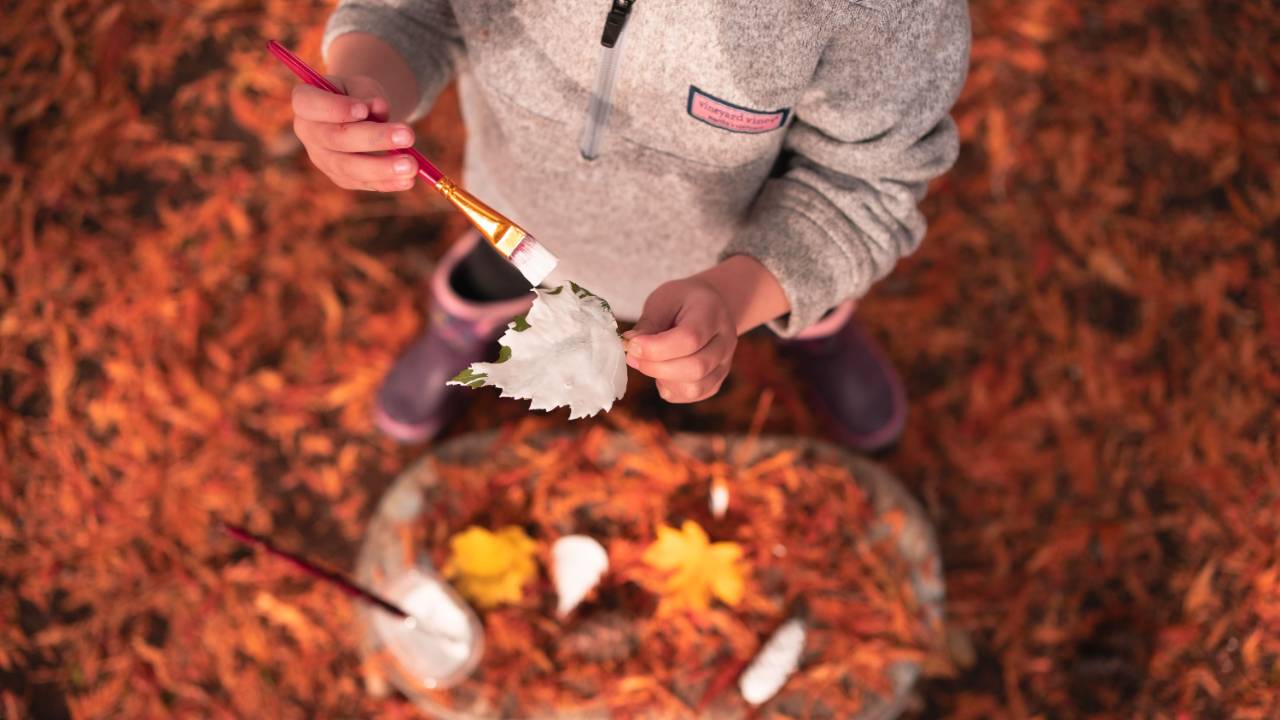 What Is a Nature-Based Homeschool Curriculum?