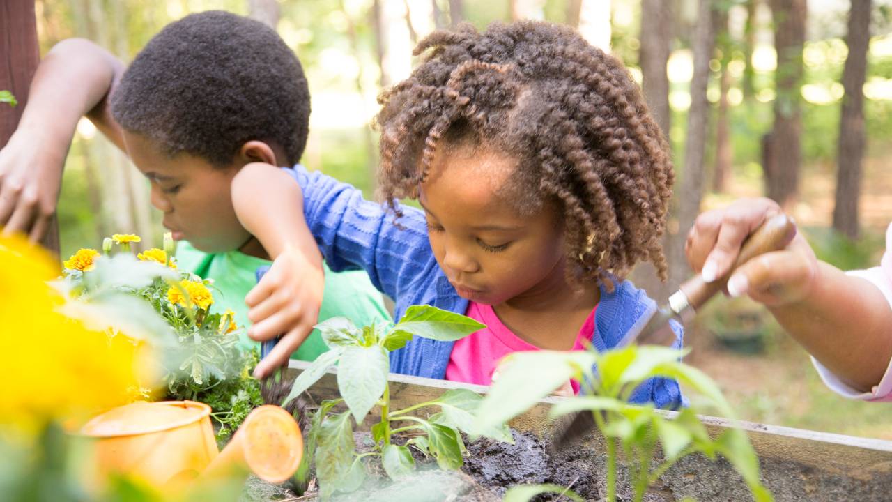 Why Spring is the Perfect Time to Start Homeschool Nature Curriculum