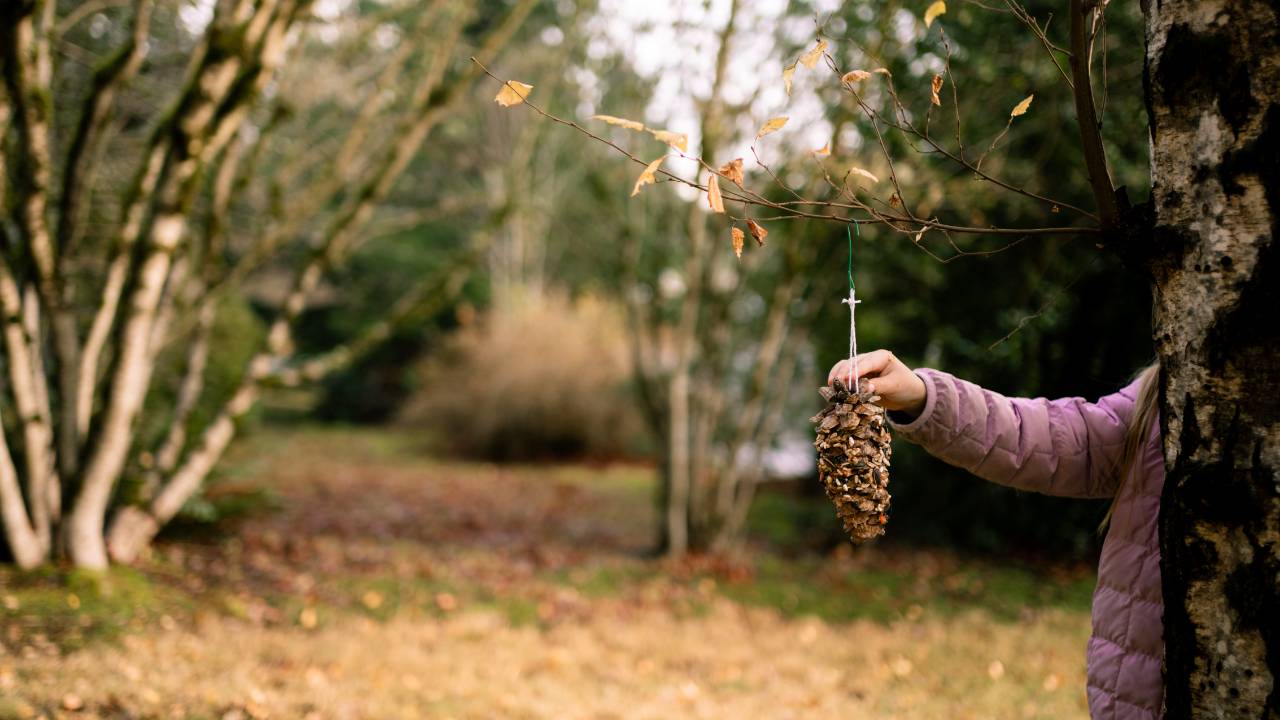 How to Get Started with a Nature-Based Homeschool Curriculum