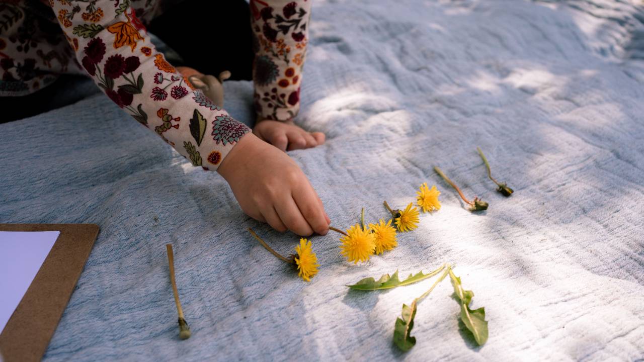 5 Key Elements of a Nature-Based Homeschool Curriculum