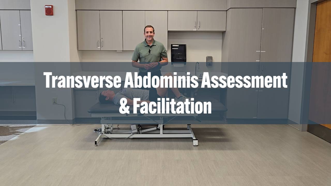 Transverse Abdominis Assessment & Facilitation