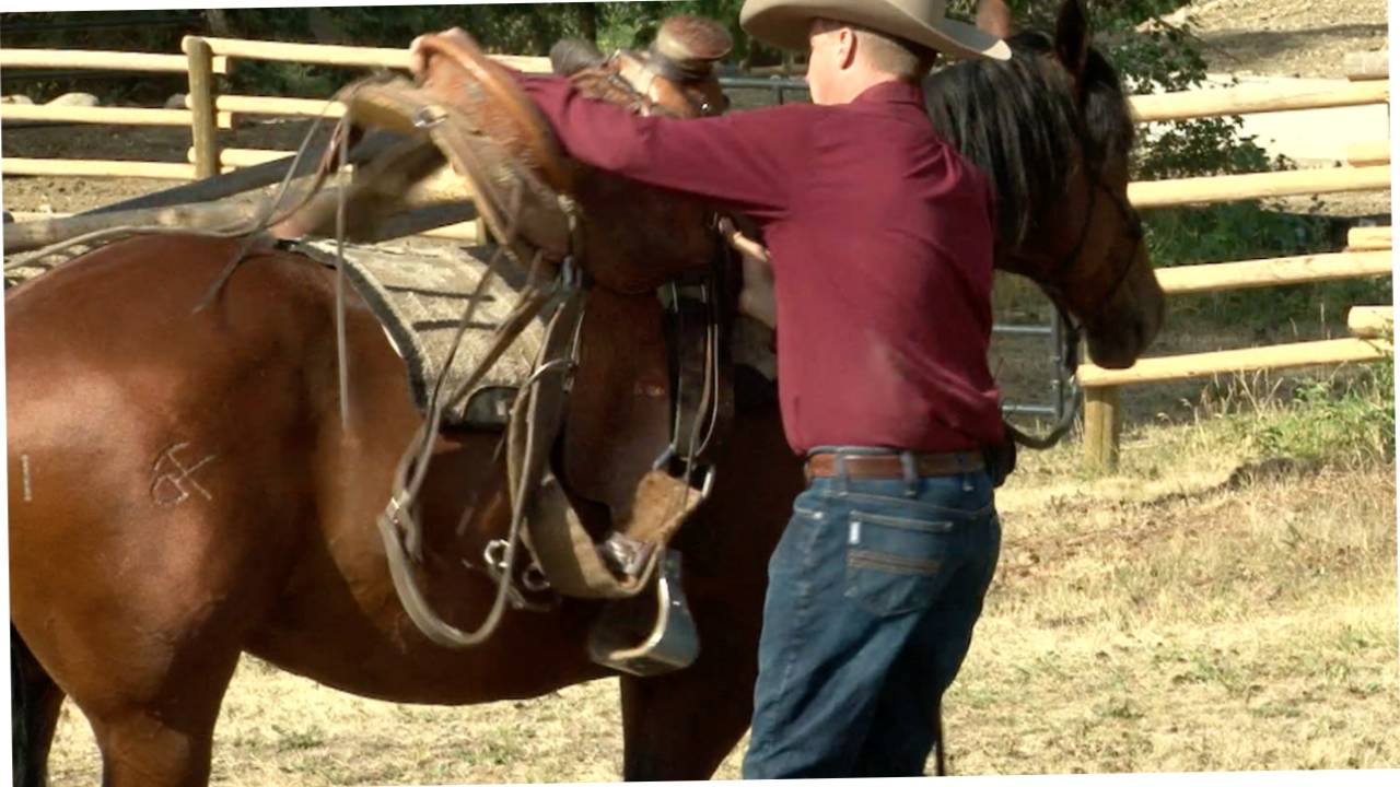 3 Tips for Safe Saddling. Use Every Time!
