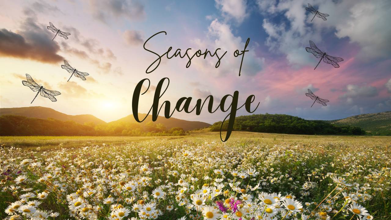Seasons of Change