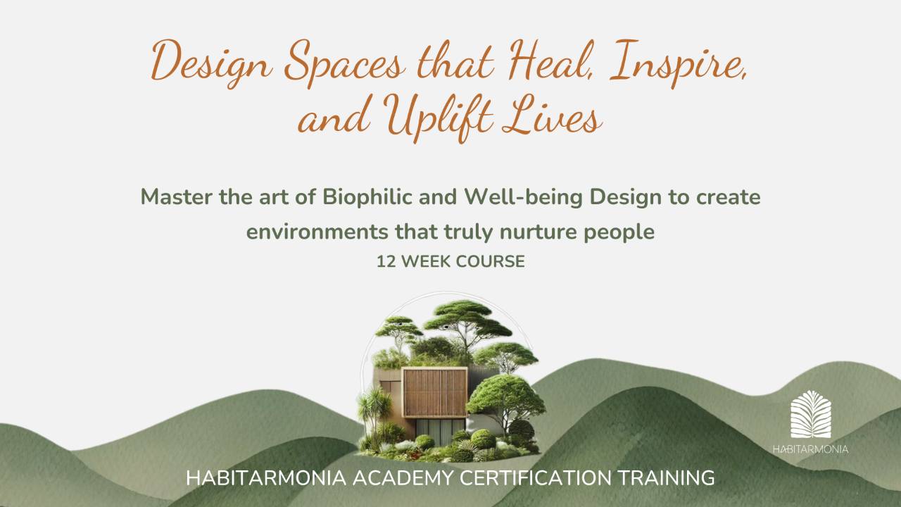 Designing for Well-Being: Transforming Spaces, Enhancing Lives