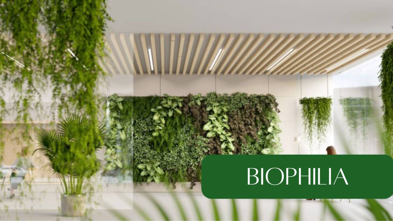 Embracing Biophilia: Bringing Nature into Our Lives with Style