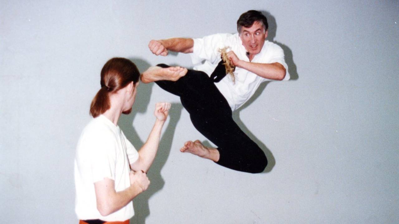 43 Years of Flying Sidekicks