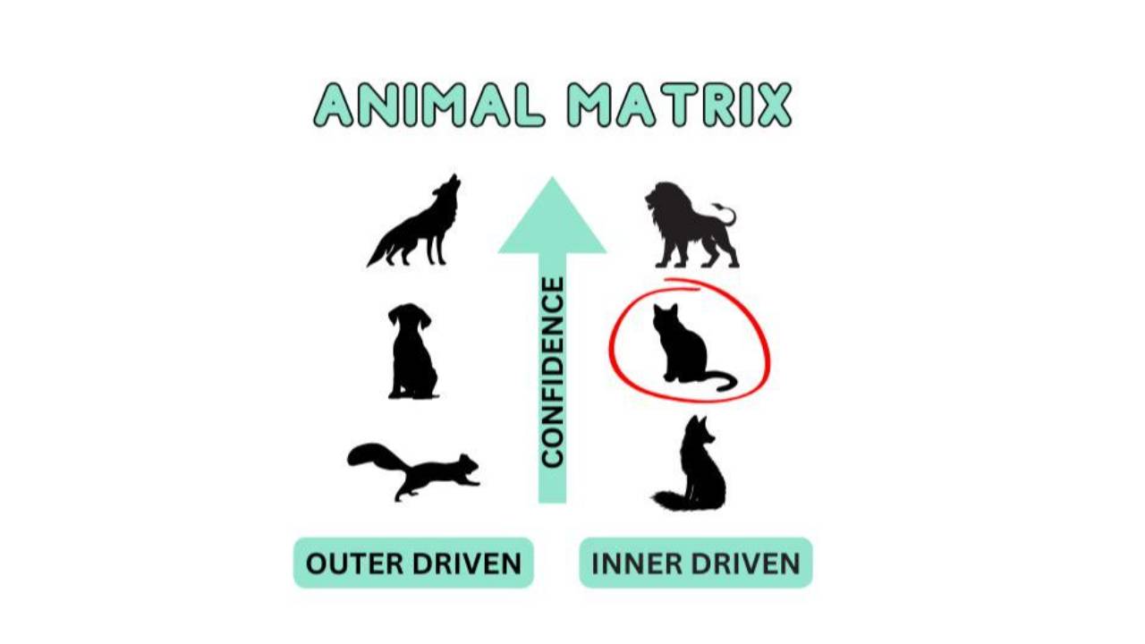 Animal Matrix-Cat