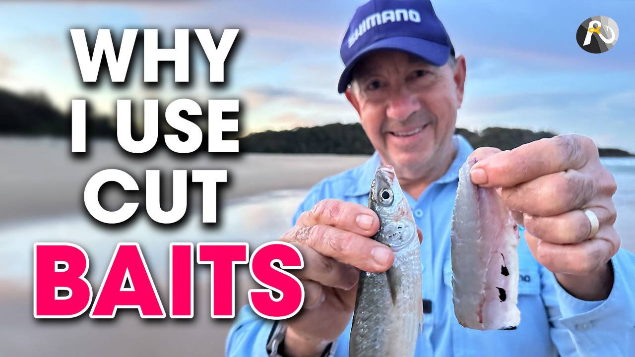 Fishing with Cut Baits