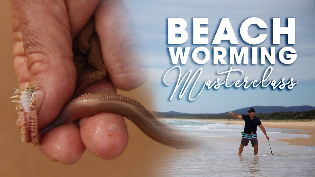 Beach Worming Masterclass with Roger Osborne – Learn to Catch Worms