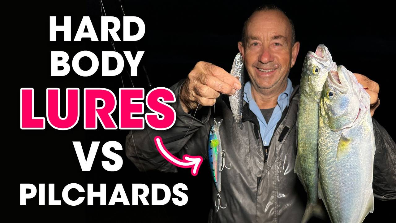 Hard Body Lures + Pilchards