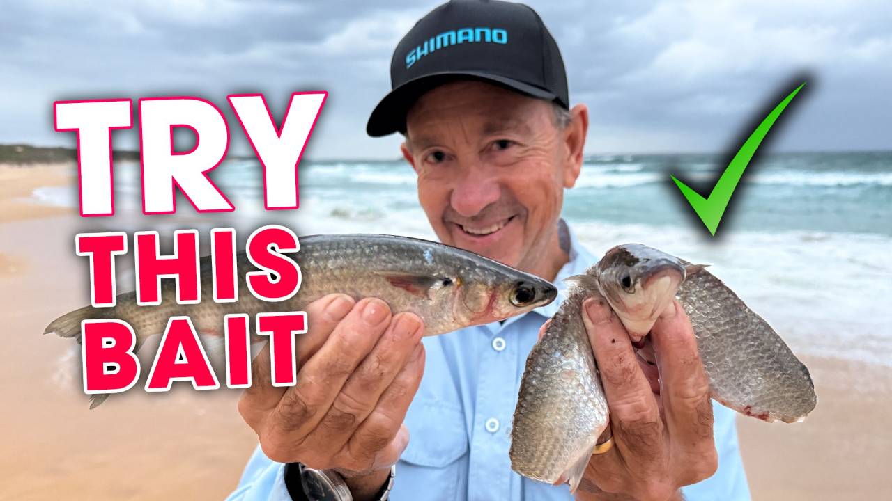 How I Prepare + Use BUTTERFLIED Mullet off the Beach!