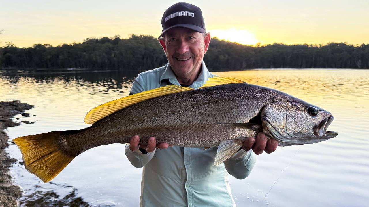 Bridge Fishing KEYS You Need To Know!