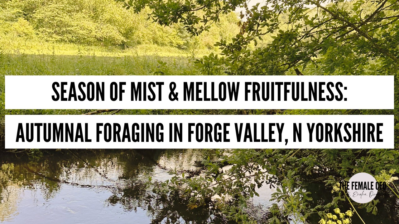 Autumnal Foraging in Forge Valley, North Yorkshire