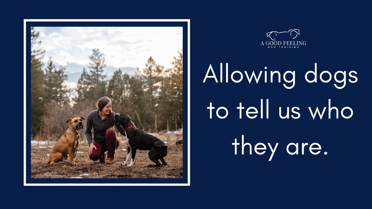 Allowing dogs to tell us who they are.