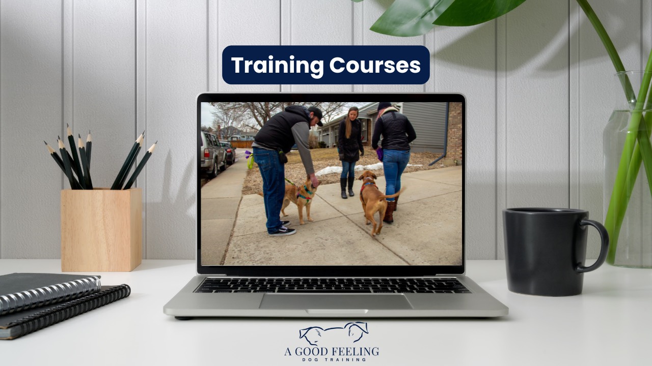 Online Dog Training Courses