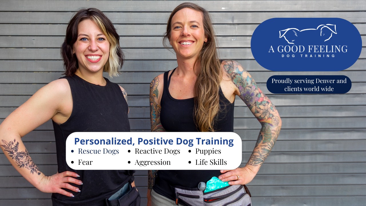 A Good Feeling Dog Training - Positive + Professional - Denver