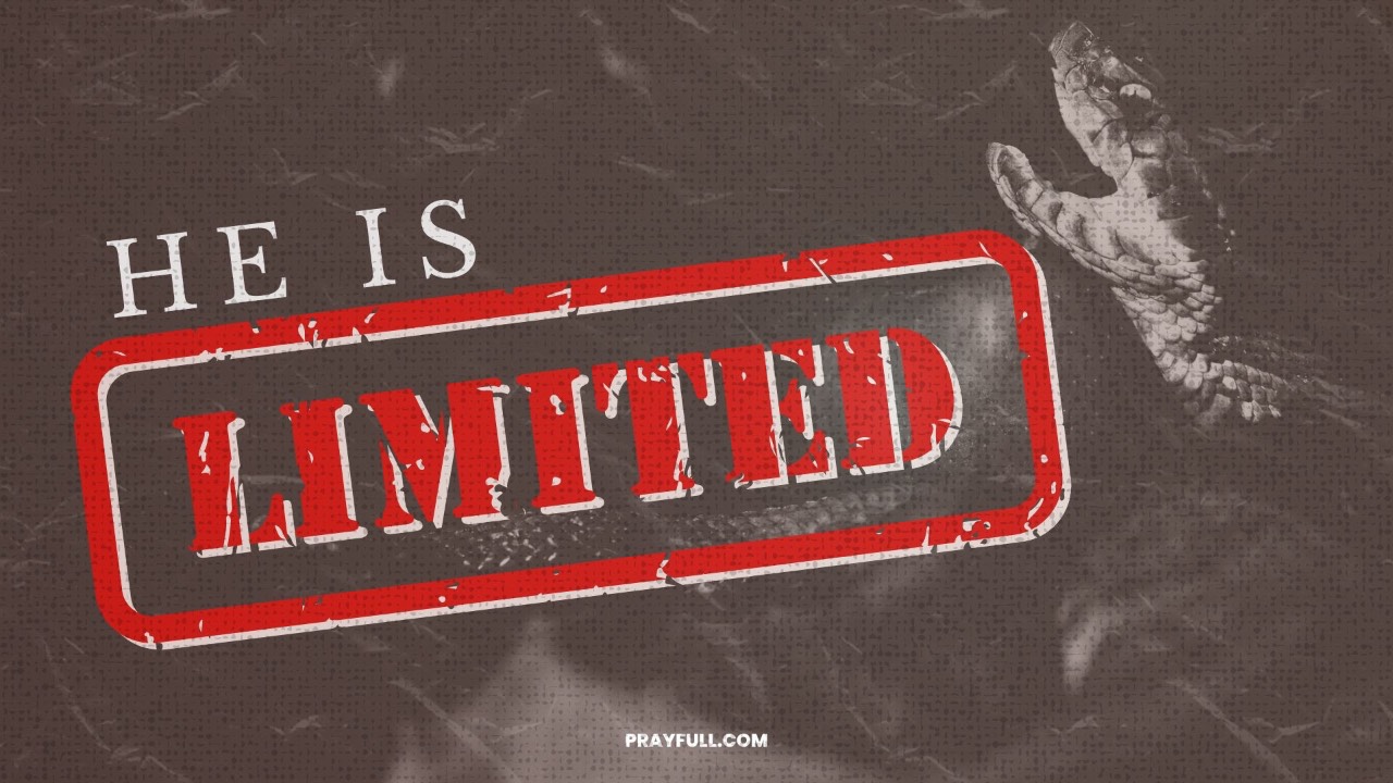 He is Limited