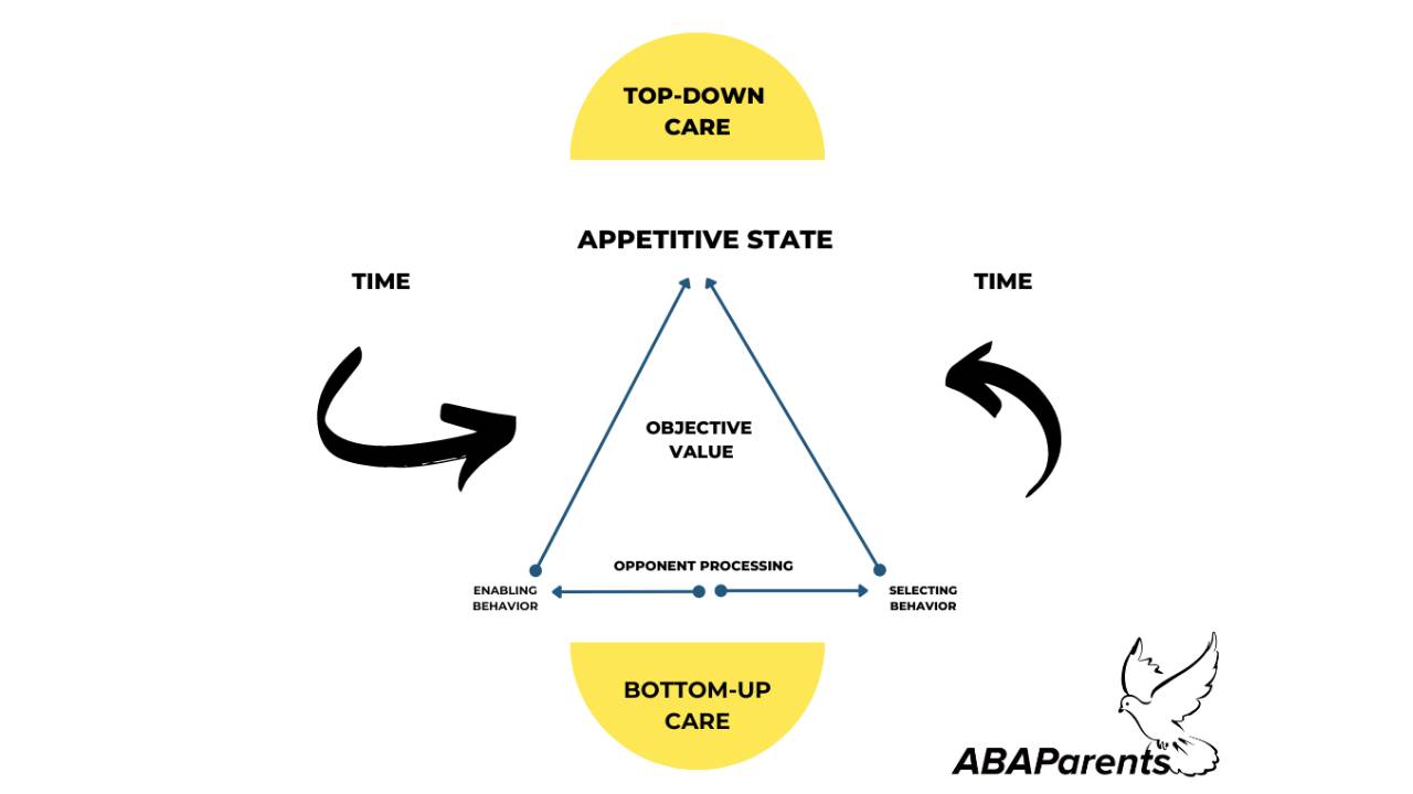 Everything you need to know about the Clinical Map