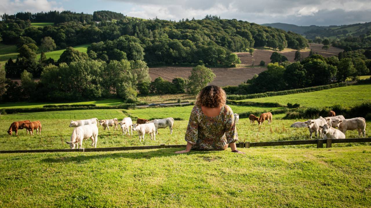 OT Yourself to Freedom: Redefine Work, Redesign Your Life