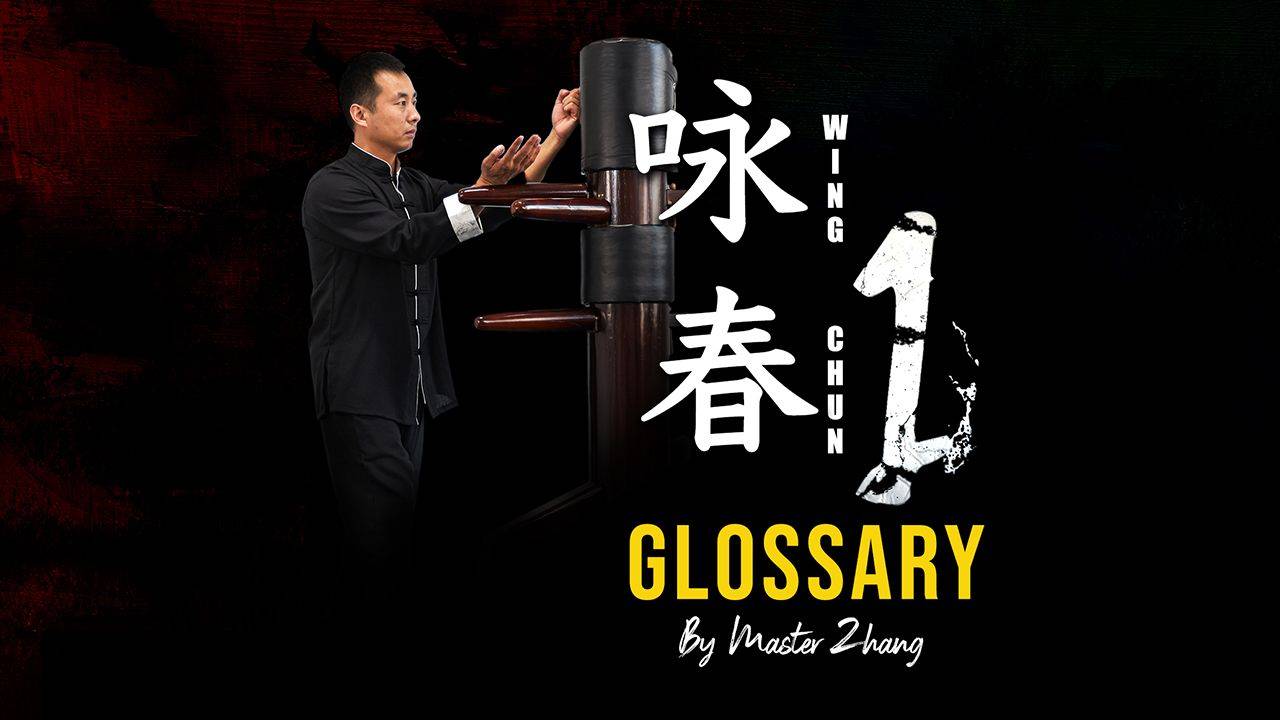 MAT | Wing Chun Glossary Level 1 Overview