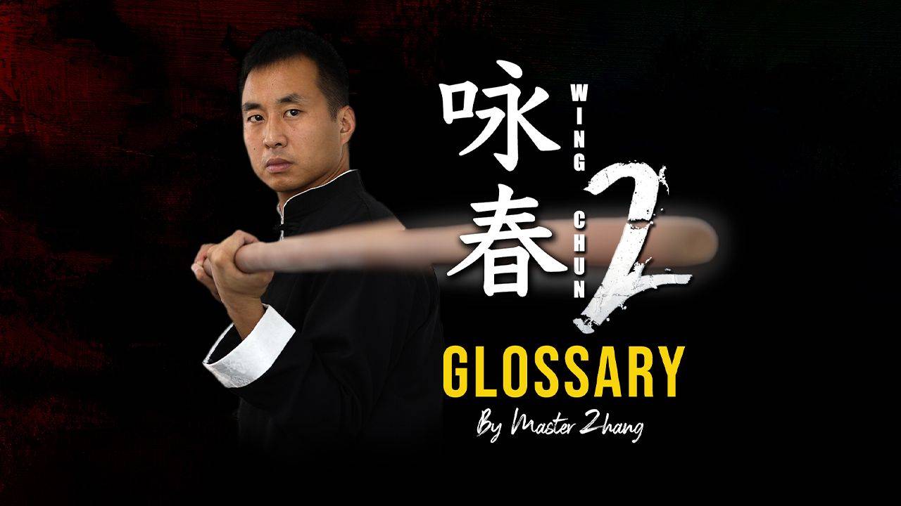 MAT | Wing Chun Glossary Level 2 Overview