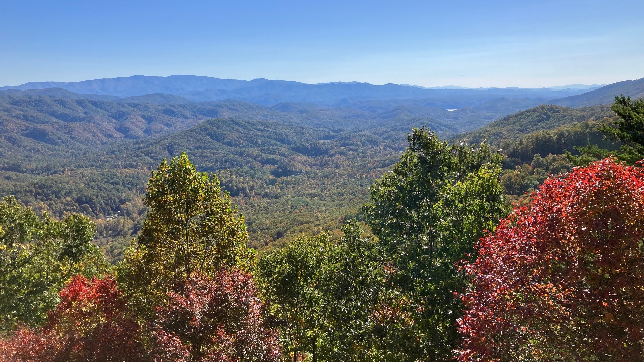 Free trial options with Dominate Test Prep | EA, GMAT Focus, GRE, LSAT