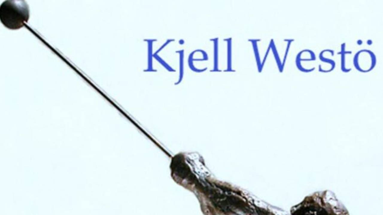 Det ulyksalige ved at være en Skrake af Kjell Westö