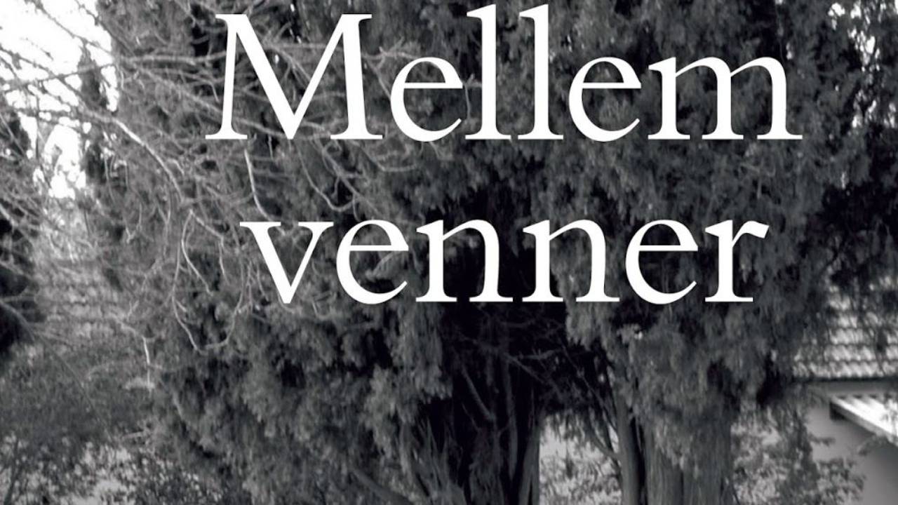 Mellem venner af Amos Oz