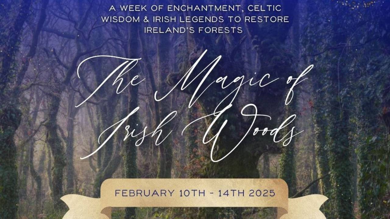 The Magic of the Irish Woods