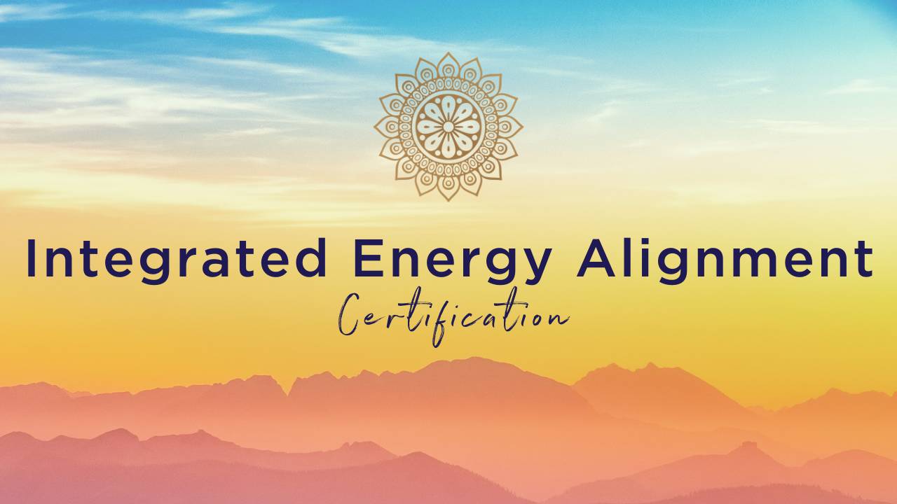 Integrated Energy Alignment Programs
