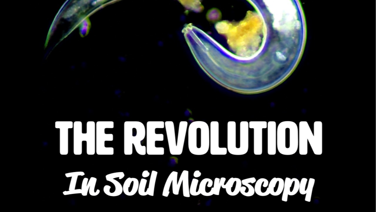 The Revolution in Soil Microscopy [REPLAY]