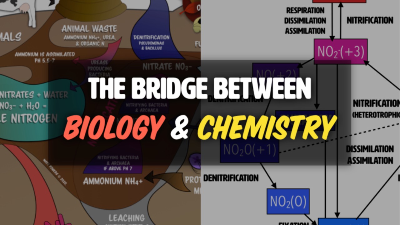 The Bridge Between Soil Biology & Chemistry