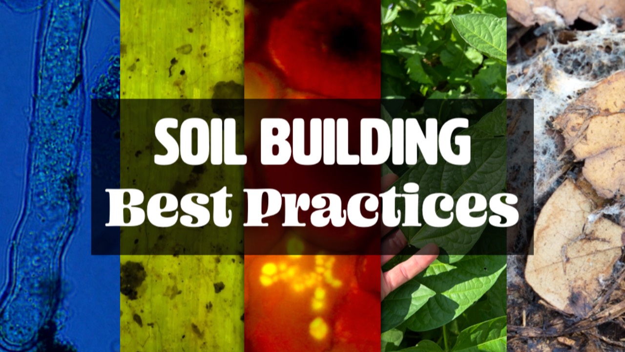 Soil Building Best Practices [REPLAY]
