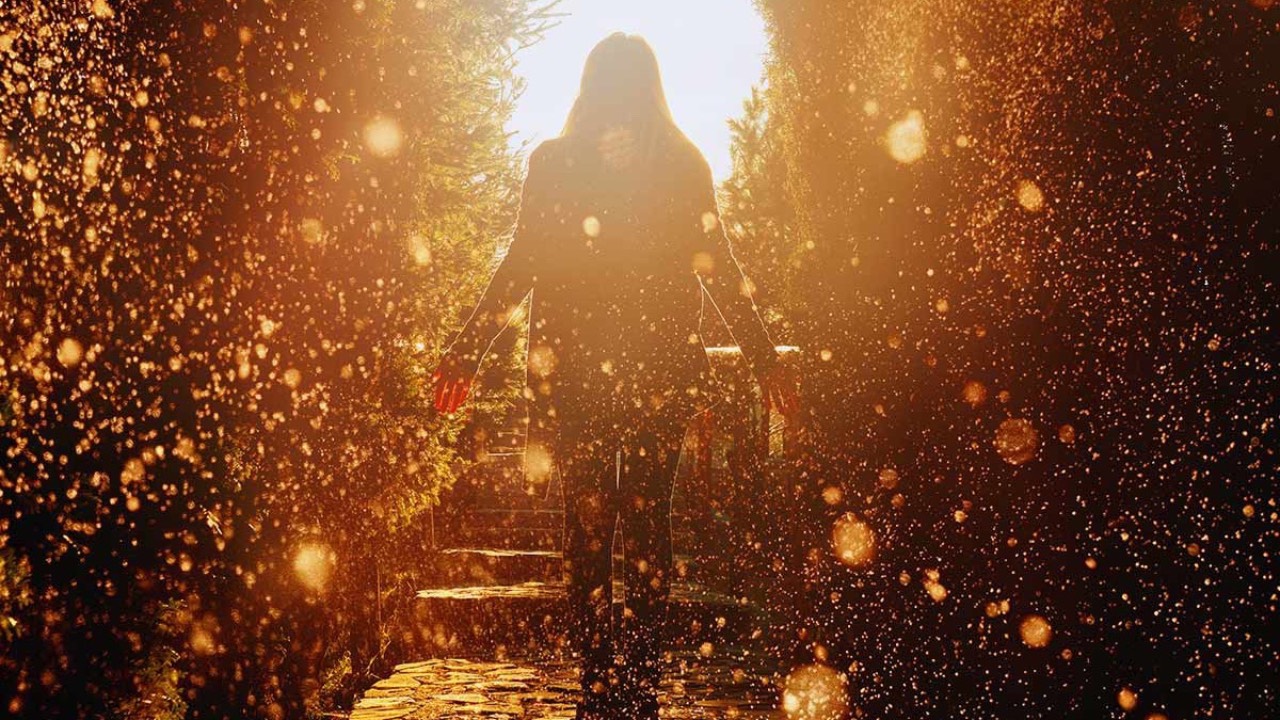 Celebrating Transformation with Ceremonies