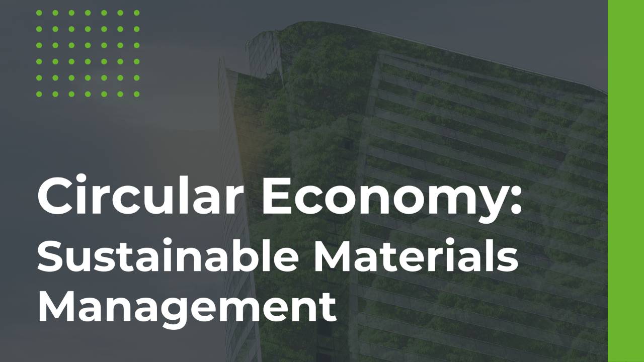 🌐 Course in Sustainability: Circular Economy Essentials 🔄
