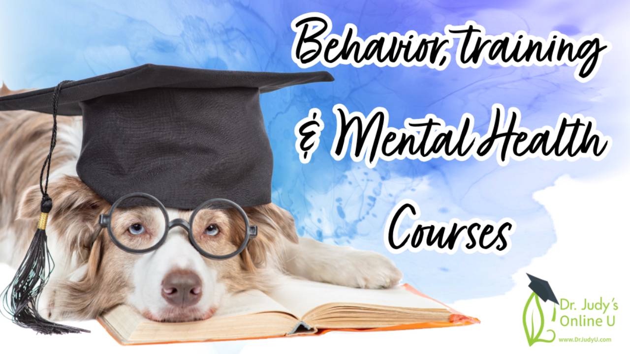 Pet Behavior, mental health, and training courses