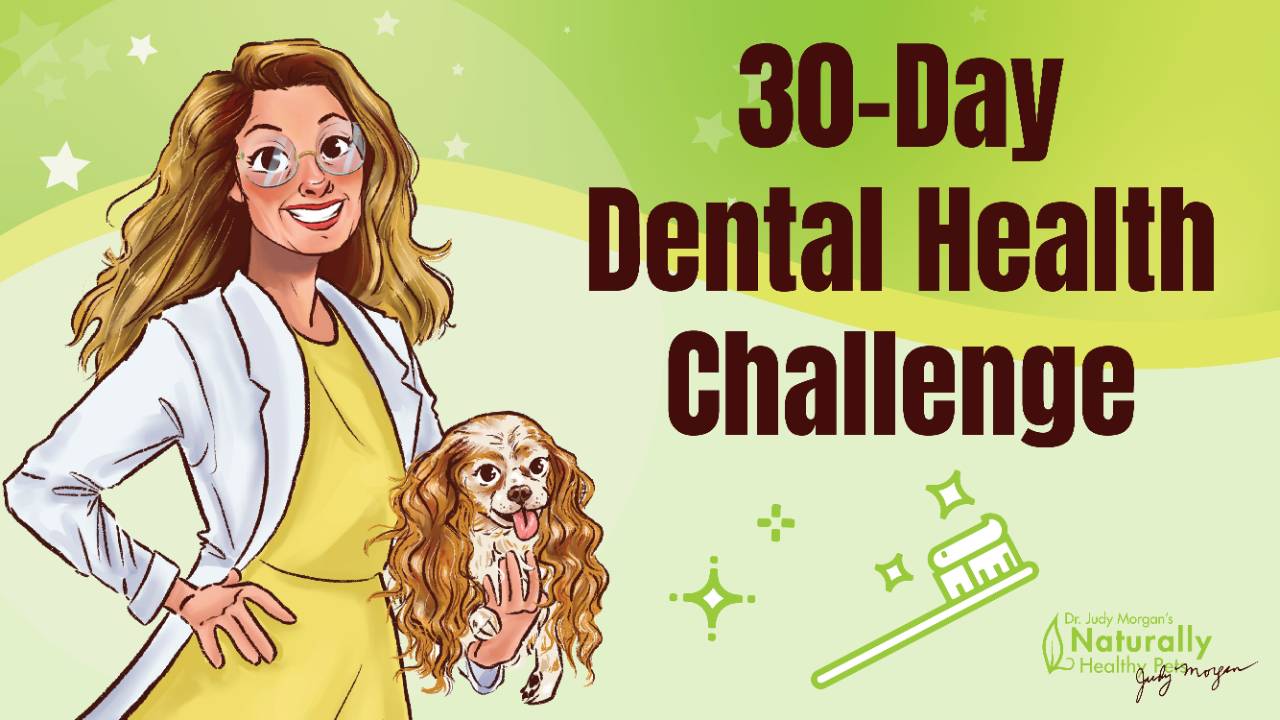 February Dental Health Challenge