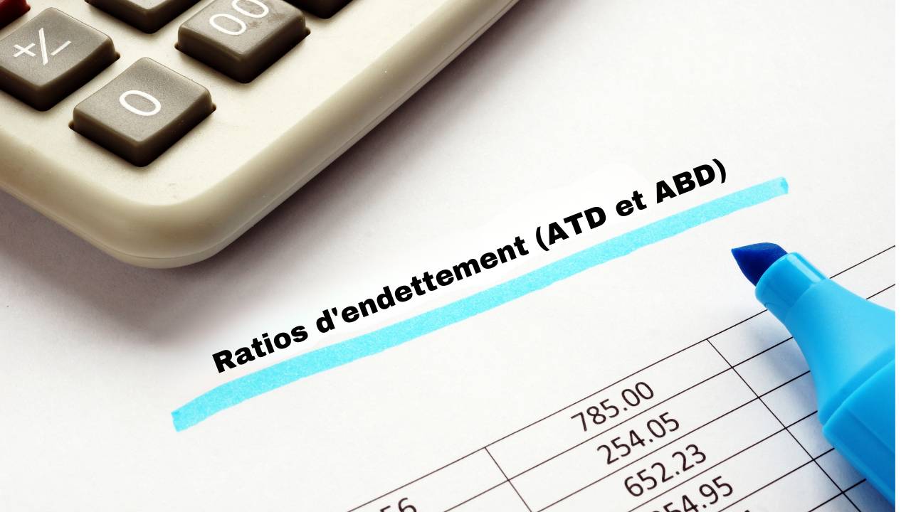 Qu'est ce que les ratios d'endettement?