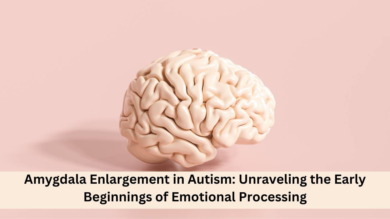 Amygdala Enlargement in Autism
